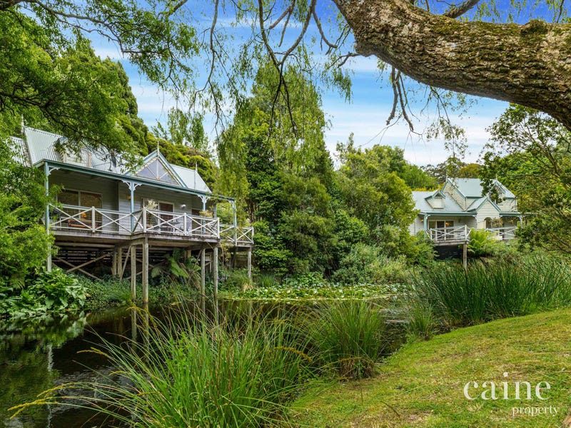 715 Barham River Road, Apollo Bay, VIC 3233 - realestate.com.au