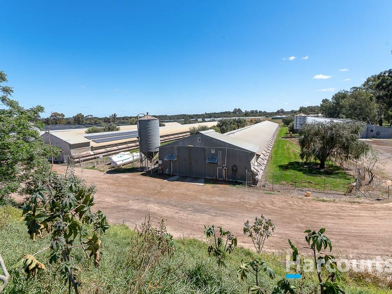 81 Ross Street, Jandabup, WA 6077 - Property Details