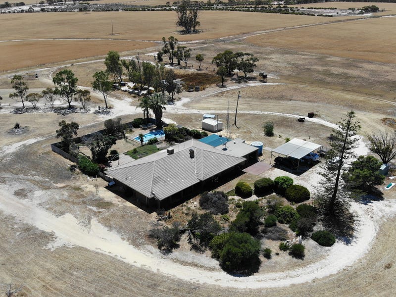 2655 Huandanning Road, Trayning, WA 6488 - Property Details