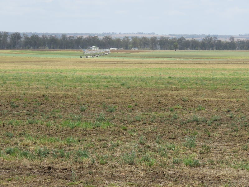 848 Mondure Wheatlands Road, Mondure, Qld 4611 - Property Details