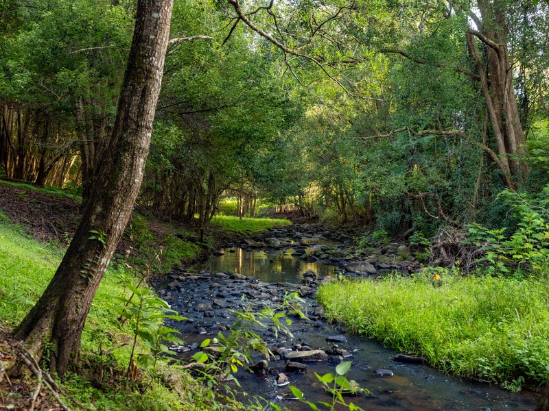 Real Estate for Sale in Maleny - Greater Region, QLD - realestate.com.au