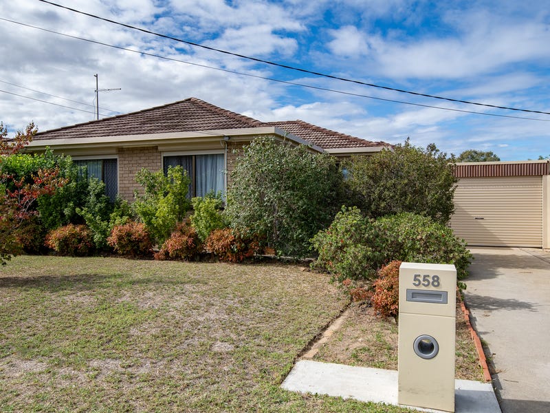 558 Kemp Street, Lavington, NSW 2641 - Property Details