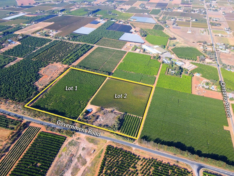 Lot 1 & 2 Government Road, Renmark, SA 5341 - Horticulture for Sale ...