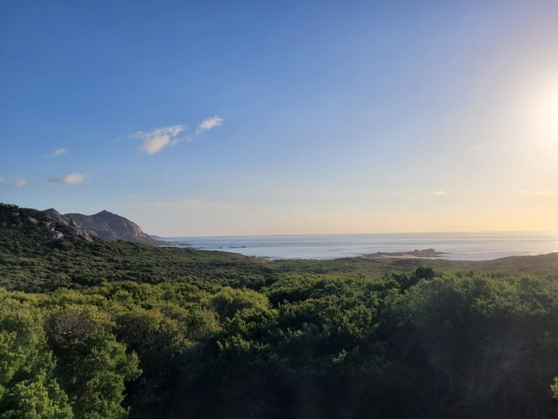 Lot 5 Palana Road, Palana, Tas 7255 - Lifestyle for Sale - realestate ...