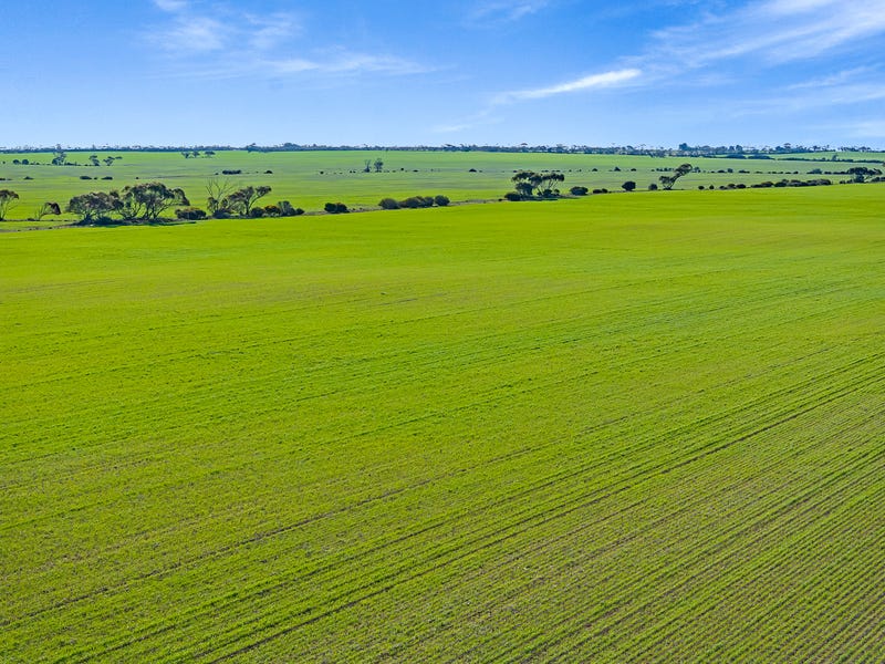 'Newbolds' Chappell Road, Alford, SA 5555 - Property Details