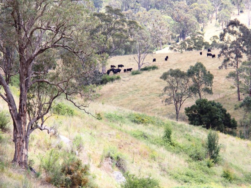 Sold Property Prices & Auction Results in Omeo, VIC 3898 (+1 location ...