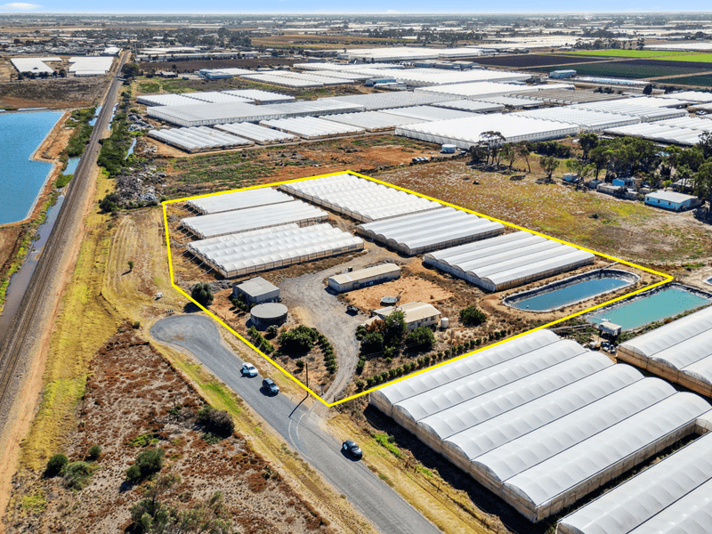 46 Downer Drive, Virginia, SA 5120 - realestate.com.au