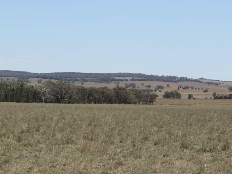 Piambra rd, Binnaway, NSW 2395 - Property Details