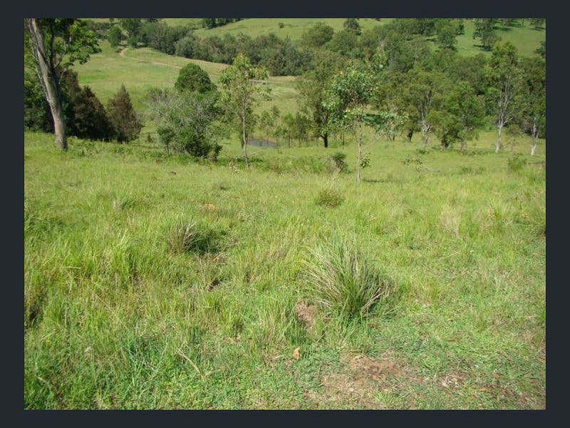 Lot 2 Belbora Creek Rd, Bundook, NSW 2422 - Property Details