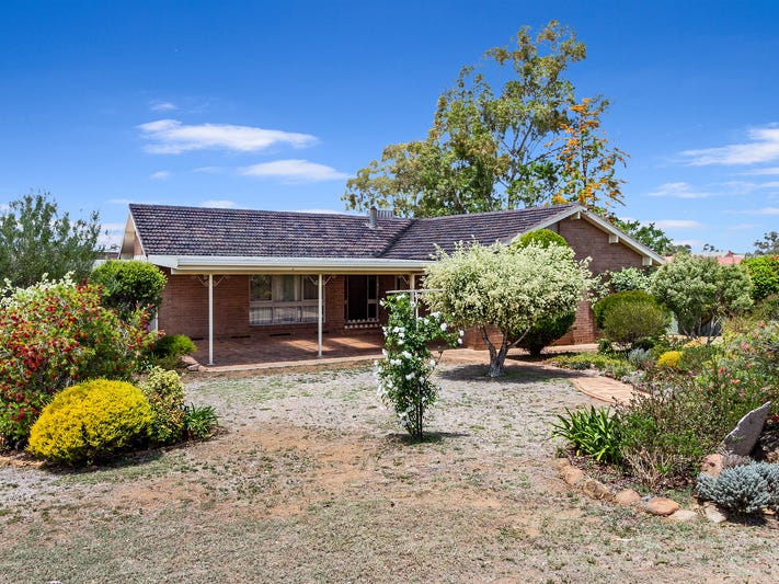 19 Craigends Lane, Hillvue, NSW 2340 - realestate.com.au