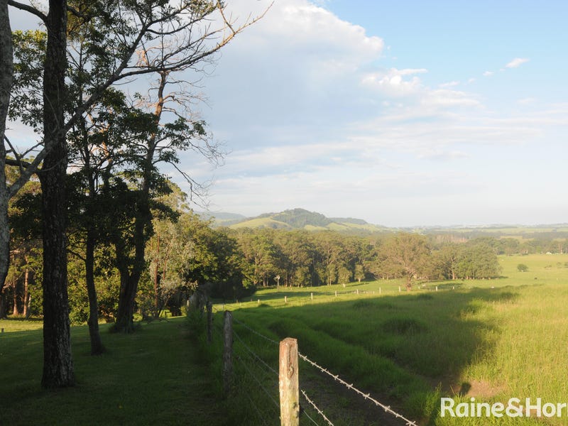 55 Wire Lane, Berry, NSW 2535 - Livestock for Sale - realestate.com.au