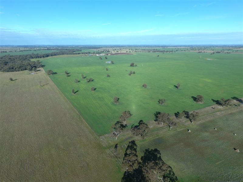 1203 Goornong-mayreef Road, Avonmore, VIC 3559 - realestate.com.au