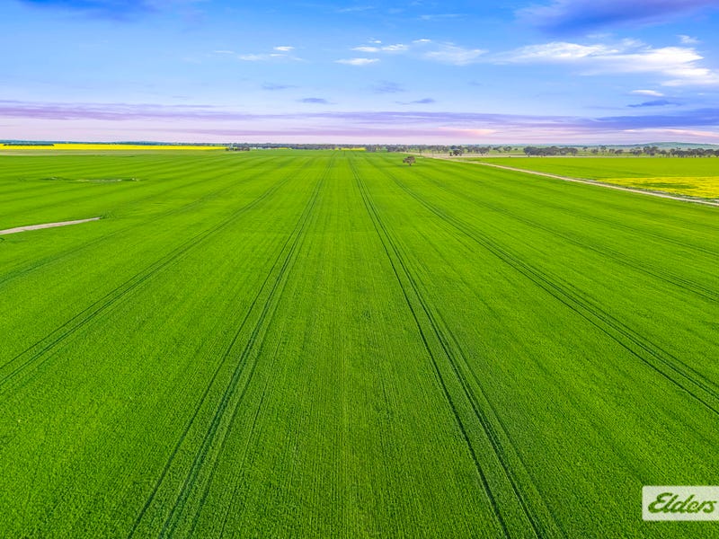 Willaura - address available on request - Cropping for Sale 700299300 ...