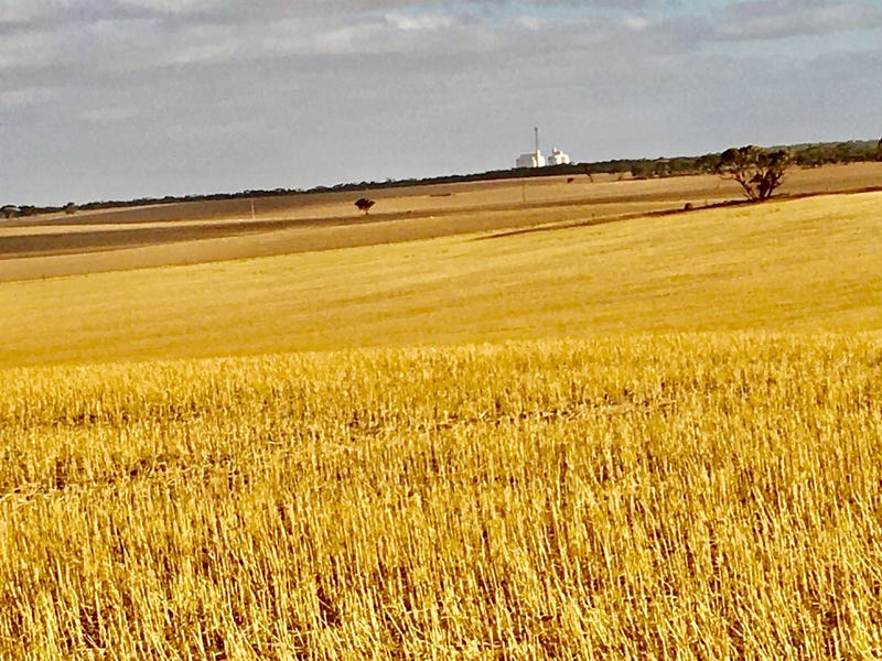 330 Nungi Road, Wirrulla, SA 5661 - Property Details