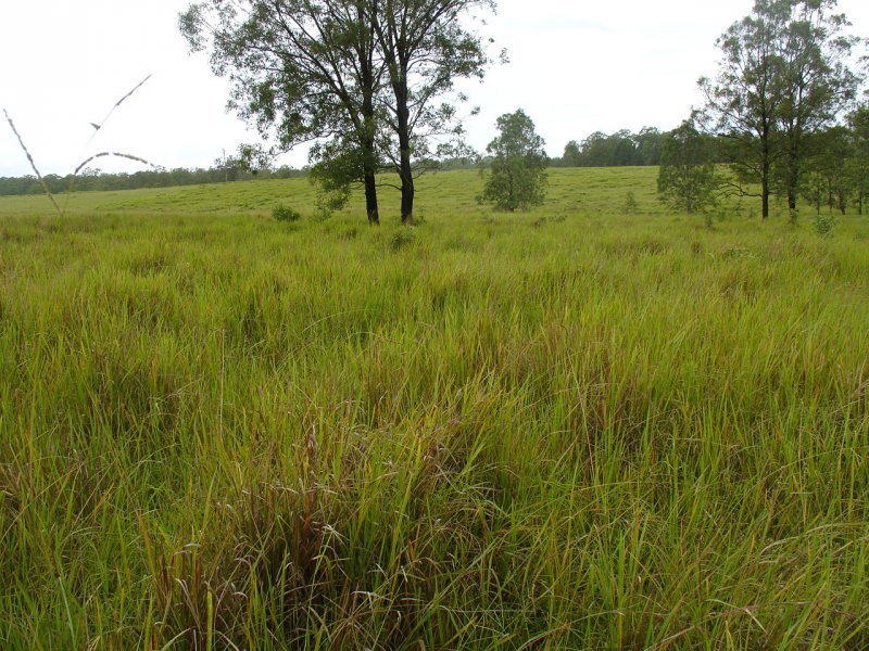 Lot 59 Summerland Way, Rappville, NSW 2469 - Property Details