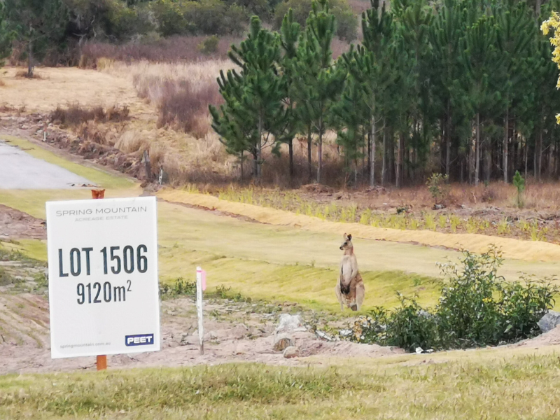 150 Tully Road, New Beith, QLD 4124 - realestate.com.au