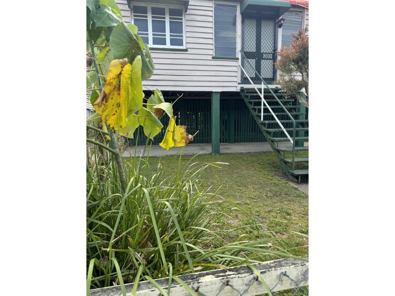 301 Albert Street, Maryborough, QLD 4650 - realestate.com.au