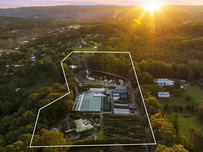 221 Chevallum Road, Palmwoods, QLD 4555 - realestate.com.au