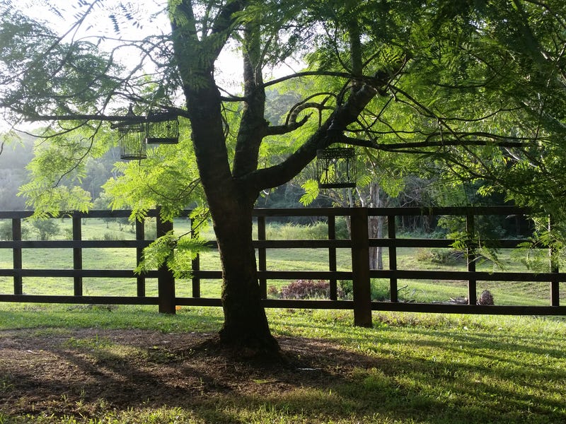 482 Waitui Rd, Waitui, NSW 2443 - Property Details