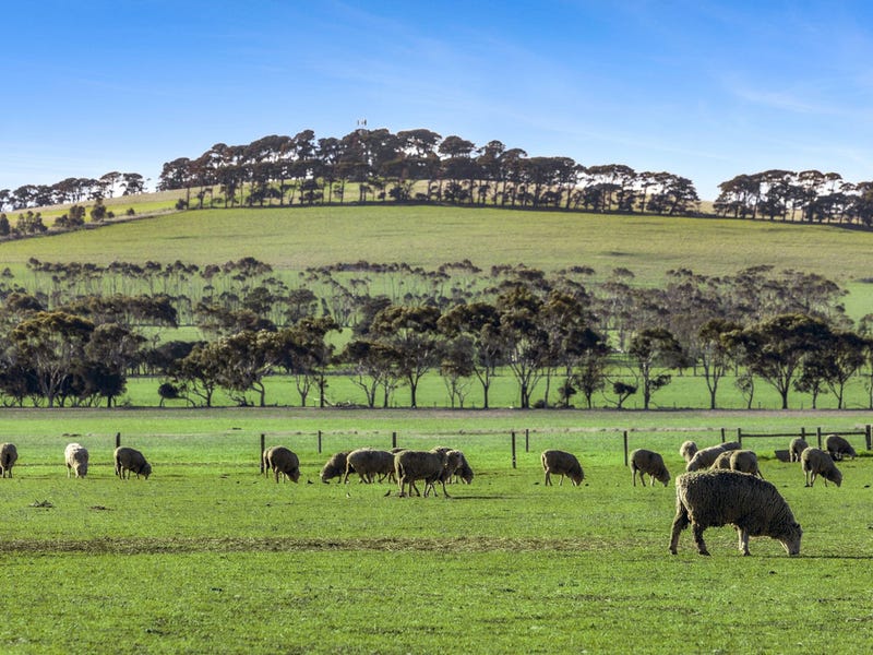 Real Estate & Property for Sale in Ceres, VIC 3221 (+2 locations ...