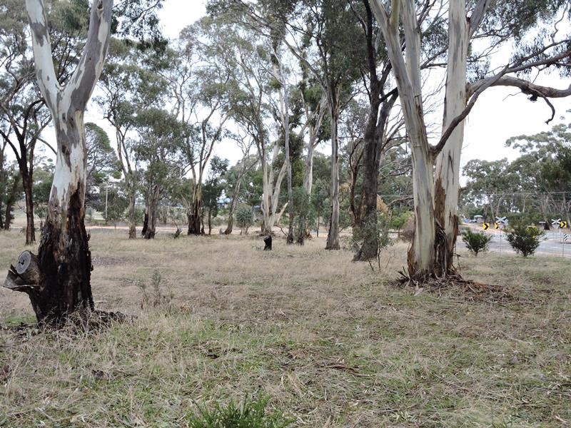 Lot 1 Military Bypass Road, Armstrong, Vic 3377 - Property Details