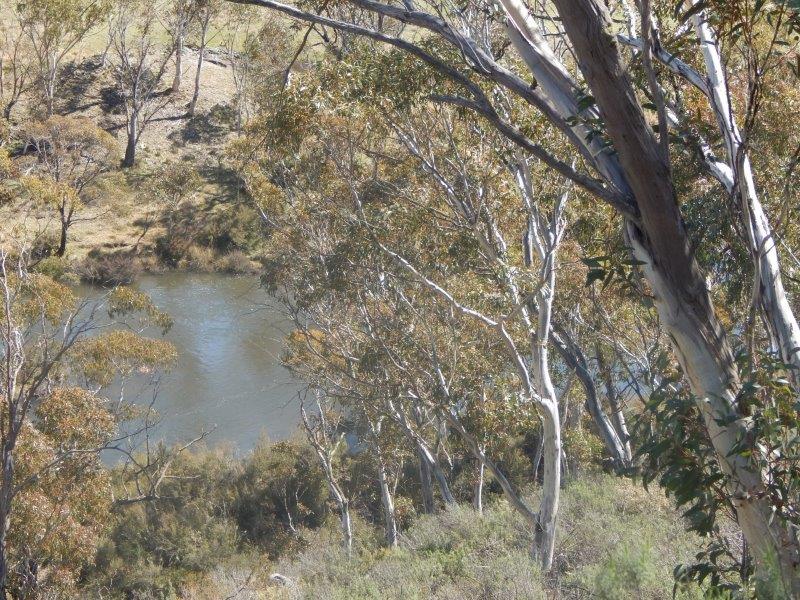 Lot 88 Stewartfield Road, Adaminaby, NSW 2629 - Property Details