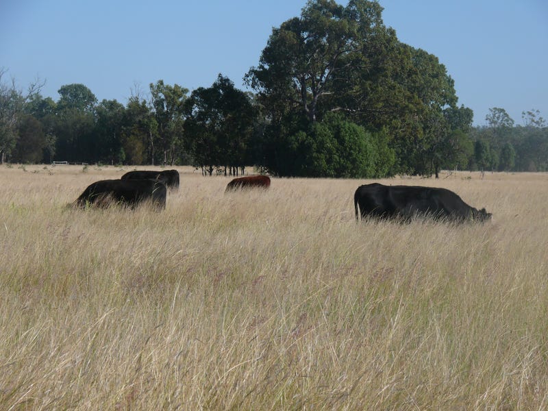 '' Akuna", Jackson, Qld 4426 - Property Details