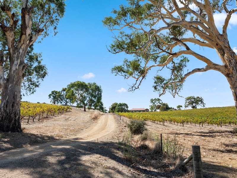 133 Rhine Park Road, Eden Valley, SA 5235 - realestate.com.au