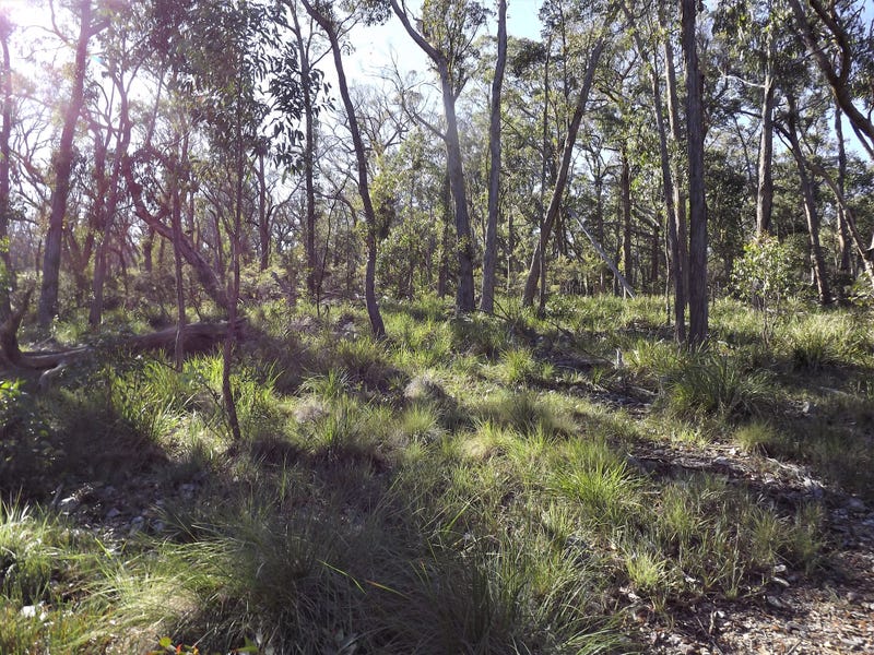 1527 New England Highway, Dundee, NSW 2370 - Lifestyle for Sale ...