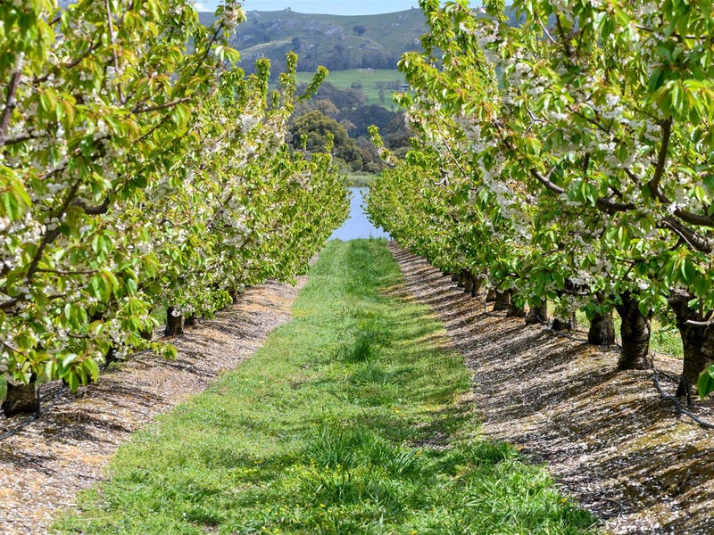 5 & 43 Finley Lane, Gooram, Vic 3666 - Property Details