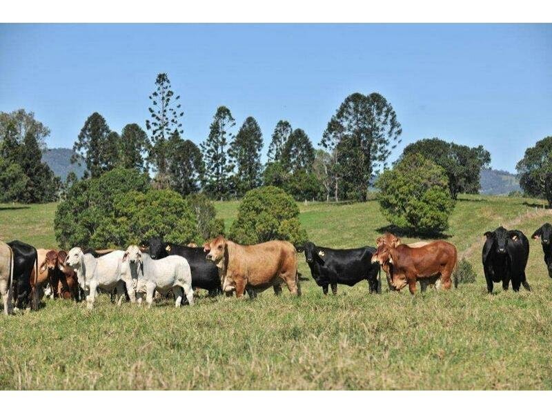 Property 7432505, Mooloo, Qld 4570 - Property Details