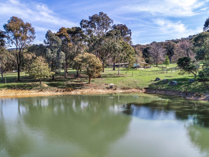 338 Harpers Road, Barjarg, Vic 3723 - House for Sale - realestate.com.au