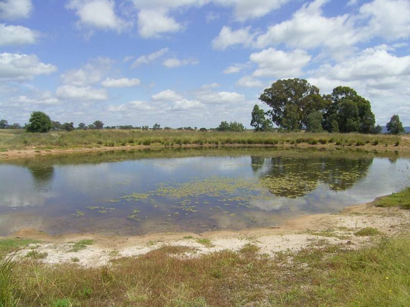 Property 7197453, Rylstone, NSW 2849 - Property Details