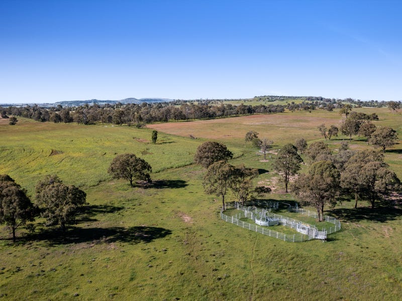 230 ACRES, SCRUB SOIL GRAZING, Peranga, Qld 4352 - Property Details