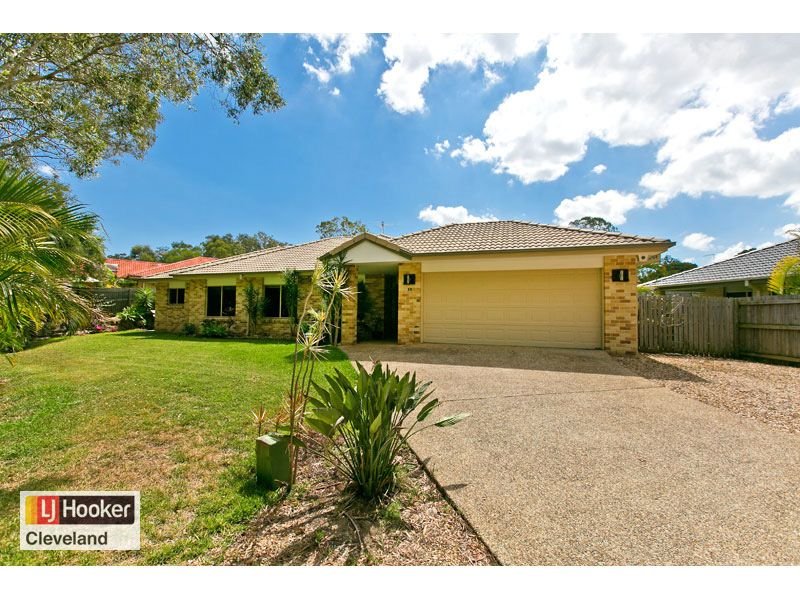 18 Adam Street, Cleveland, Qld 4163 - Property Details