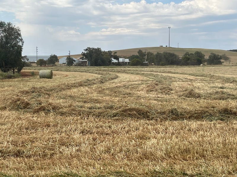Lot 8 Chapman Valley Road, Nabawa, WA 6532 - Property Details