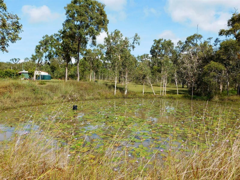 779 Greenhill Road, Ilbilbie, Qld 4738 - Property Details