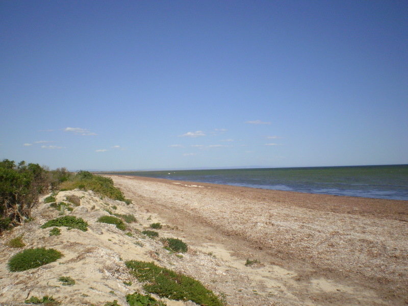 165 The Esplanade, Thompson Beach, SA 5501 - realestate.com.au