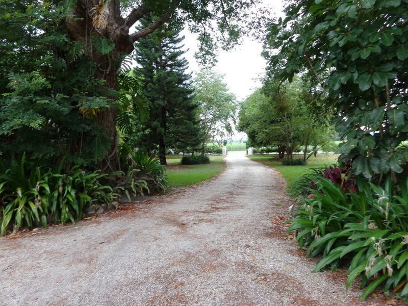 121 Mcleod Street, Condong, NSW 2484 - realestate.com.au