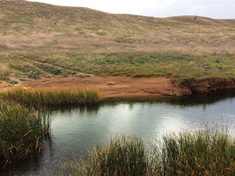 40 Sandstone Road, Spalding, SA 5454 - realestate.com.au