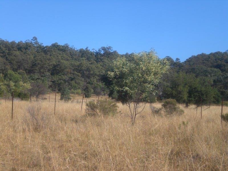 3091 Golden Highway, Gungal, NSW 2333 - Property Details