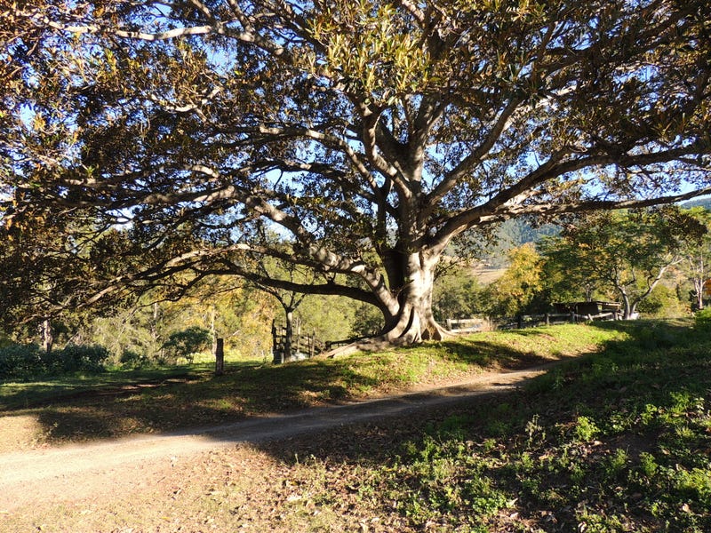 362 Cundle Flat Road, Gloucester, NSW 2422 - Property Details