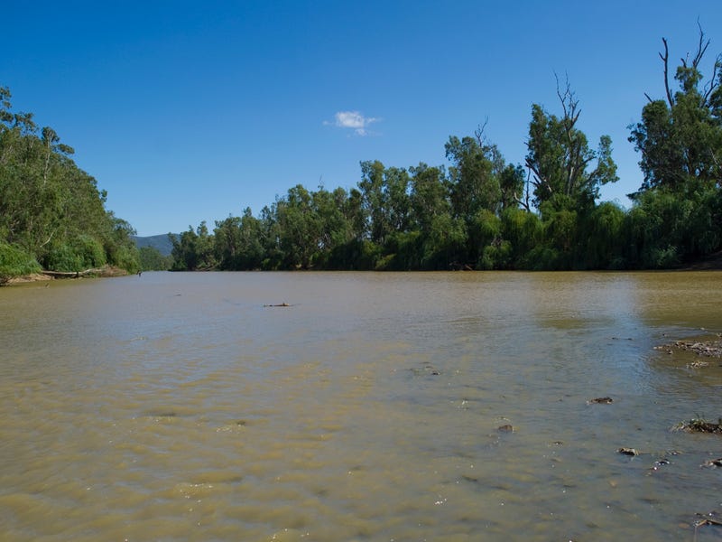 391 Gunnembene Lane, Carroll, NSW 2340 - realestate.com.au