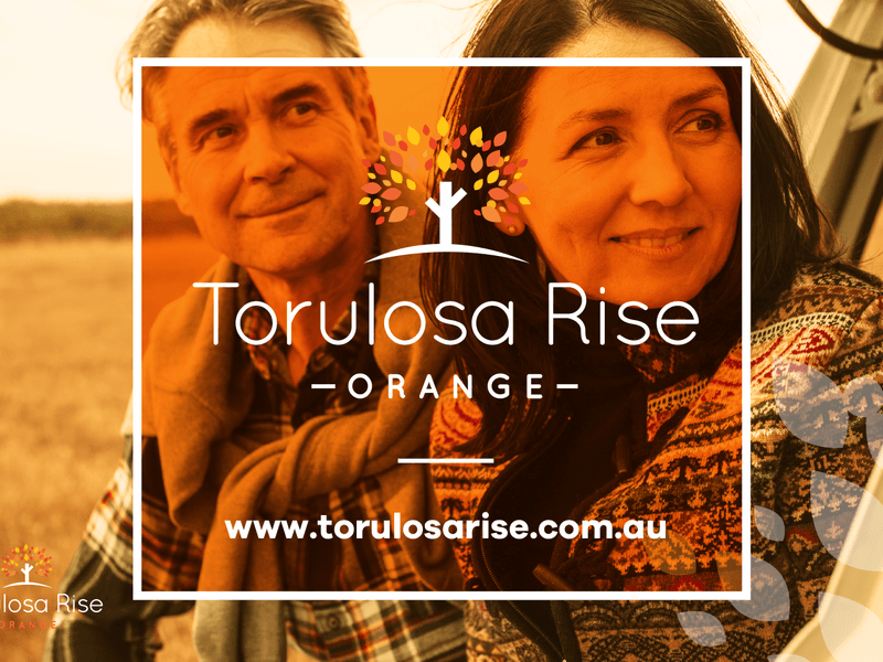 21 Torulosa Way, Orange, NSW 2800 - realestate.com.au