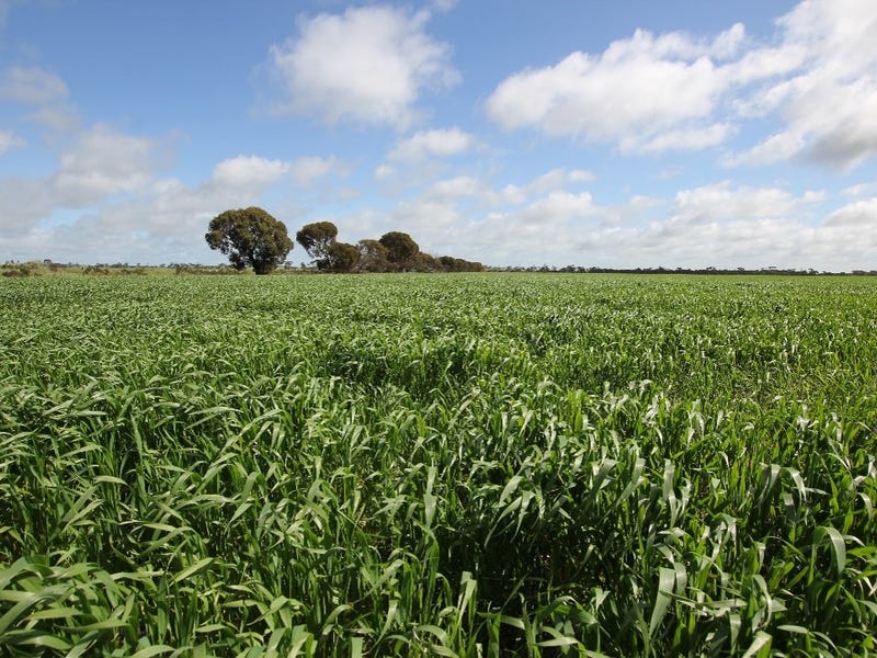 . "Munty West", Muntadgin, WA 6420 - Property Details