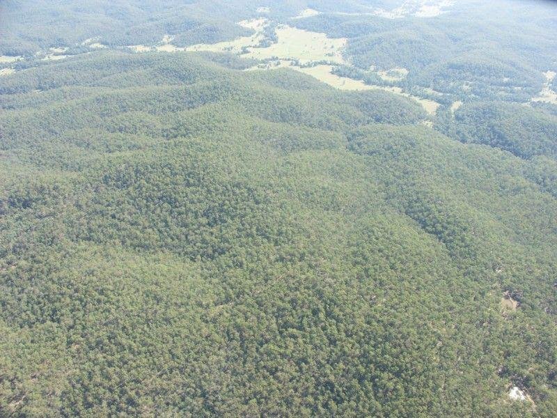 Lot 5, 102 Upper Mongogarie Road, Rappville, NSW 2469 - Property Details