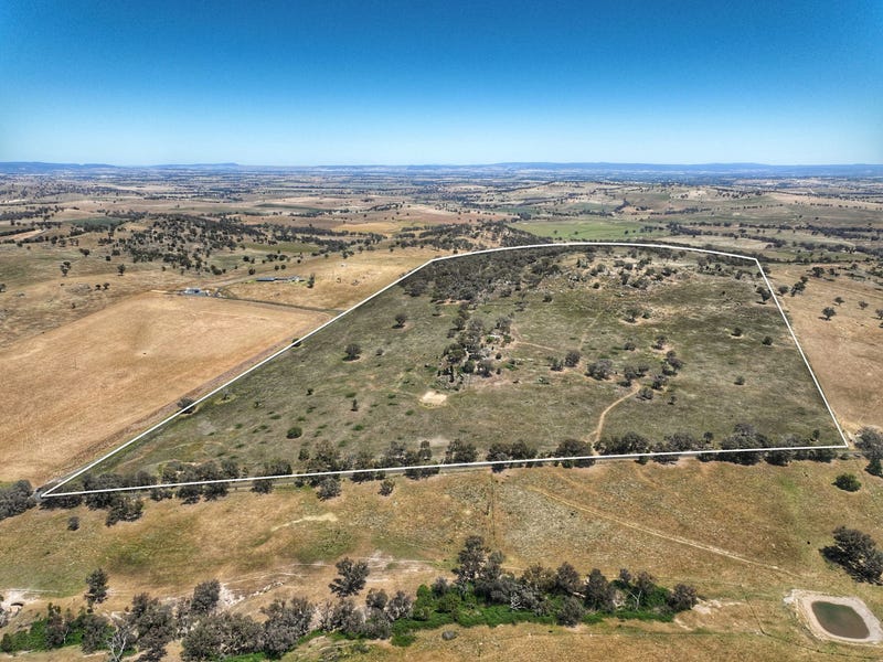 1294 Pine Mount Road, Woodstock, NSW 2793 - Lifestyle for Sale ...