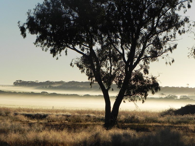 424 Challis Road, Pingrup, WA 6343 - Property Details