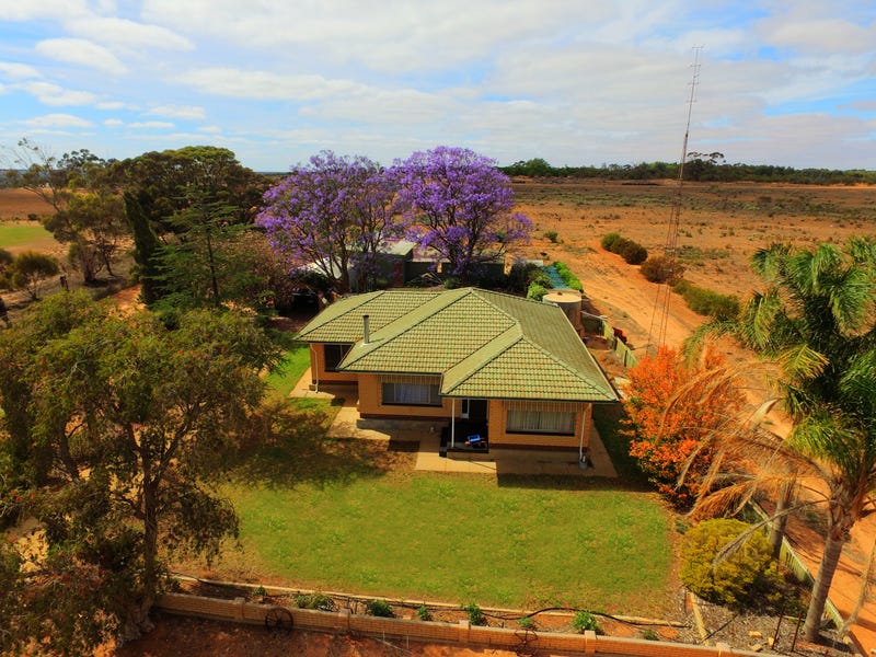 109 Wachtel Road, Moorook, SA 5332 - Property Details