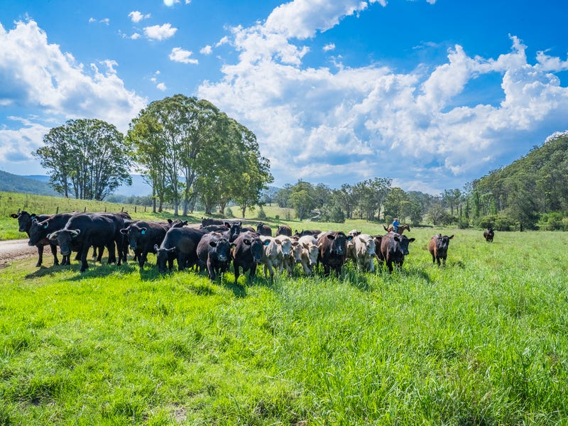 312-370 Upper Monkerai Road, Monkerai, NSW 2415 - Property Details